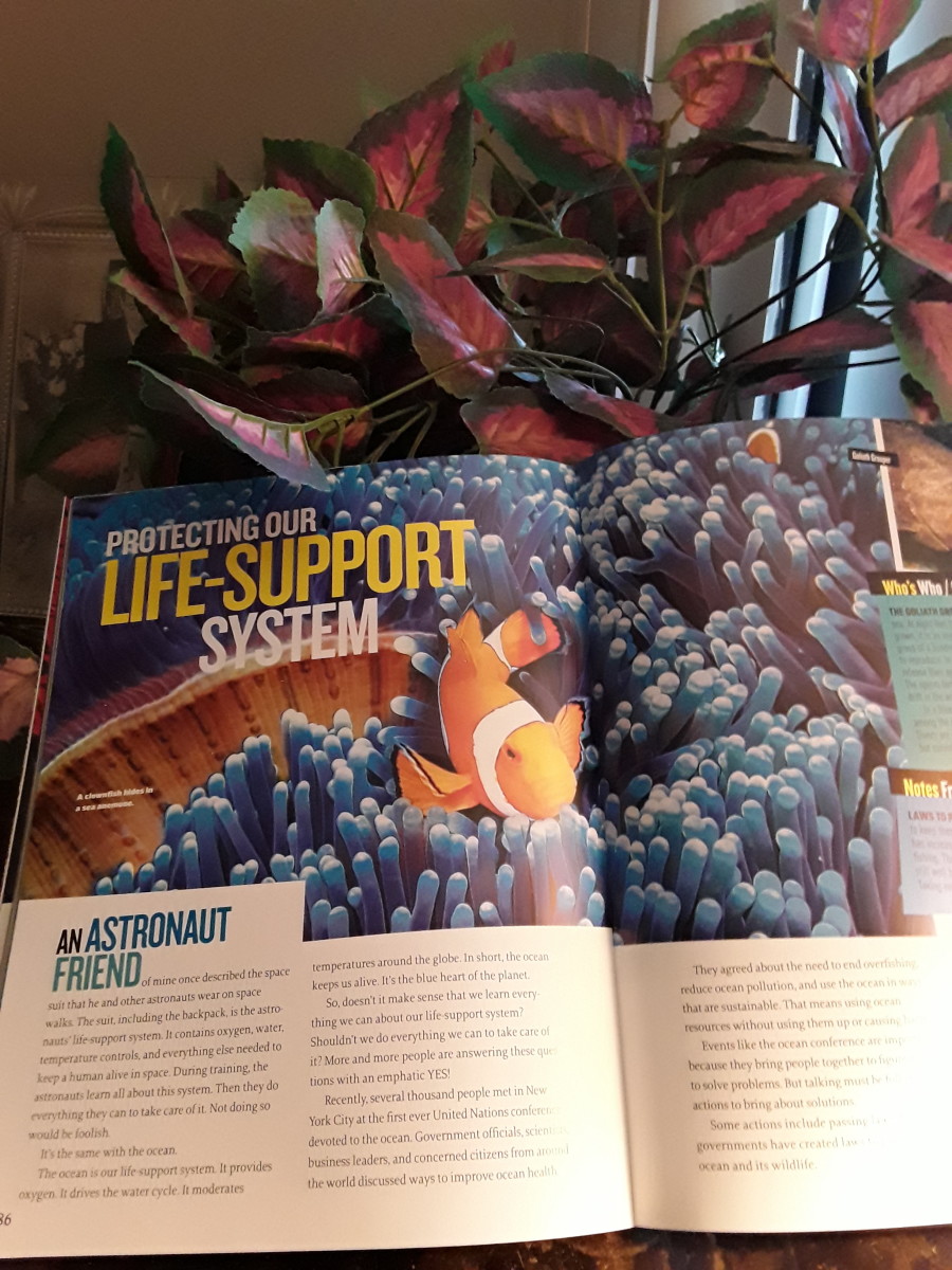 Our Oceans Are a Source for All Things Awesome in National Geographic ...