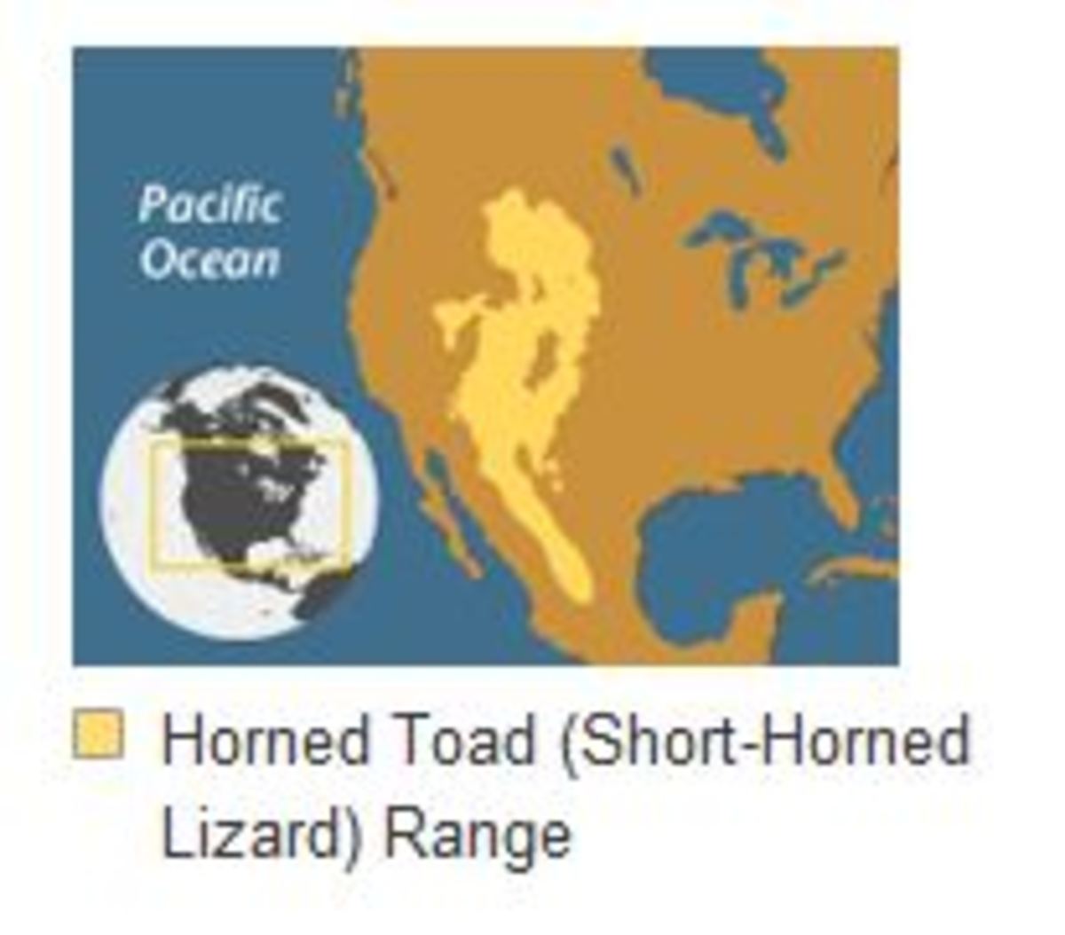 Horned Toad Lizard Reptile & Velvet Ants. - HubPages