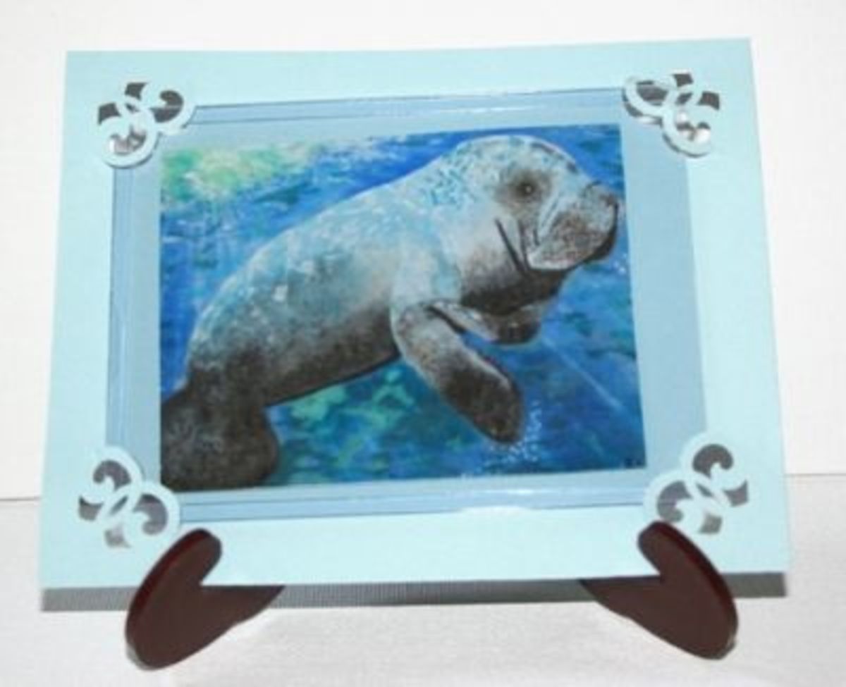 Framing & Displaying your ACEO's and ATC's -Miniature Artwork - HubPages