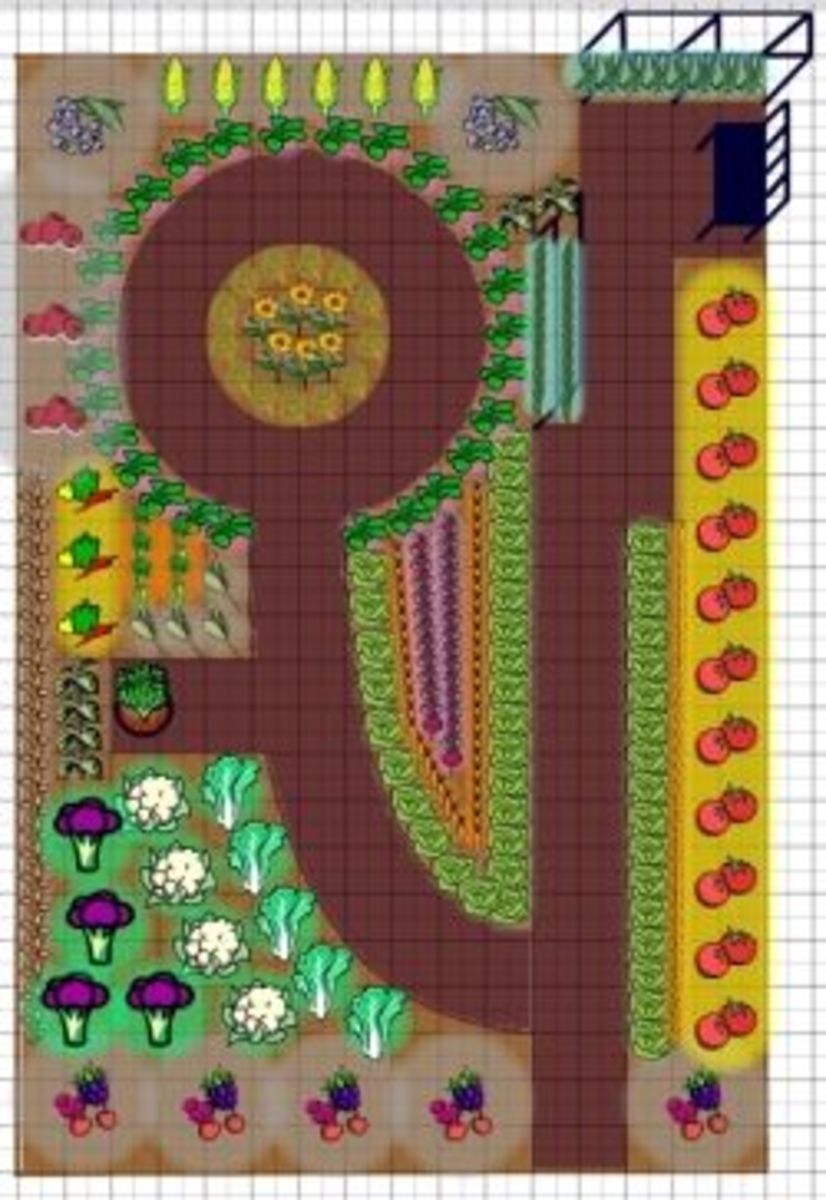 Vegetable Garden Layout - HubPages