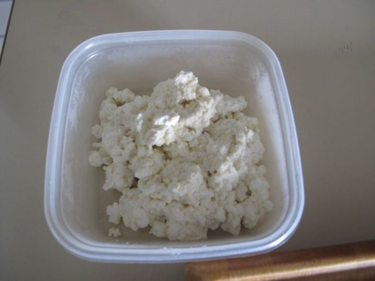 How to Make Cheese - HubPages