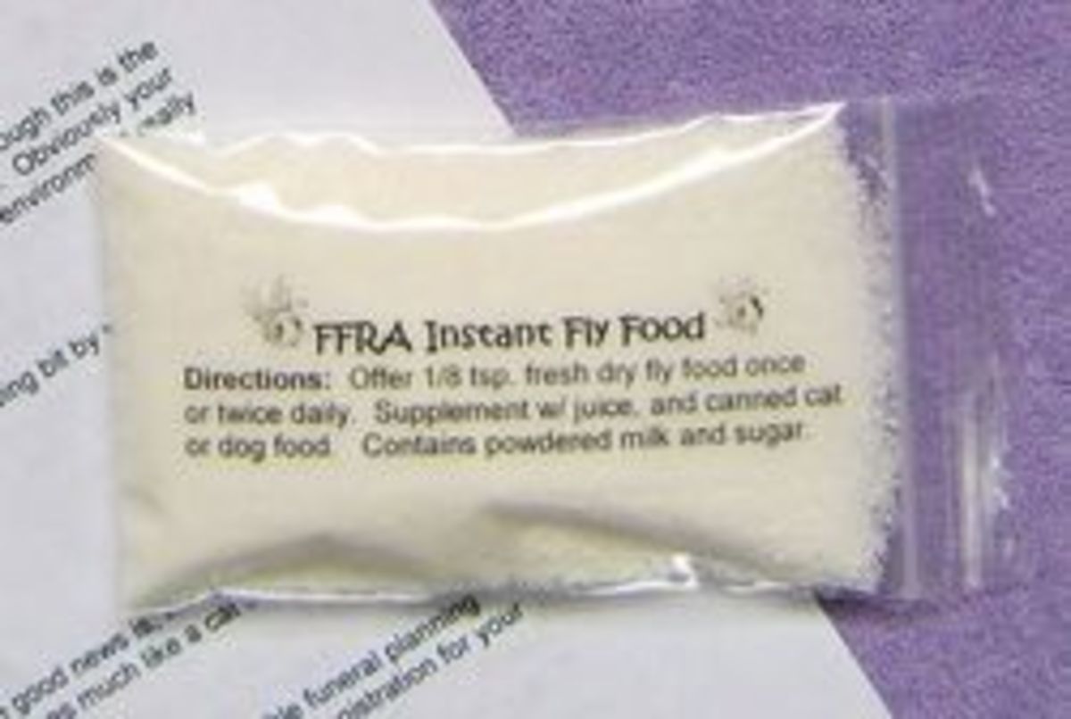 Pet Fly; Fly Roping; Fly on a String - HubPages