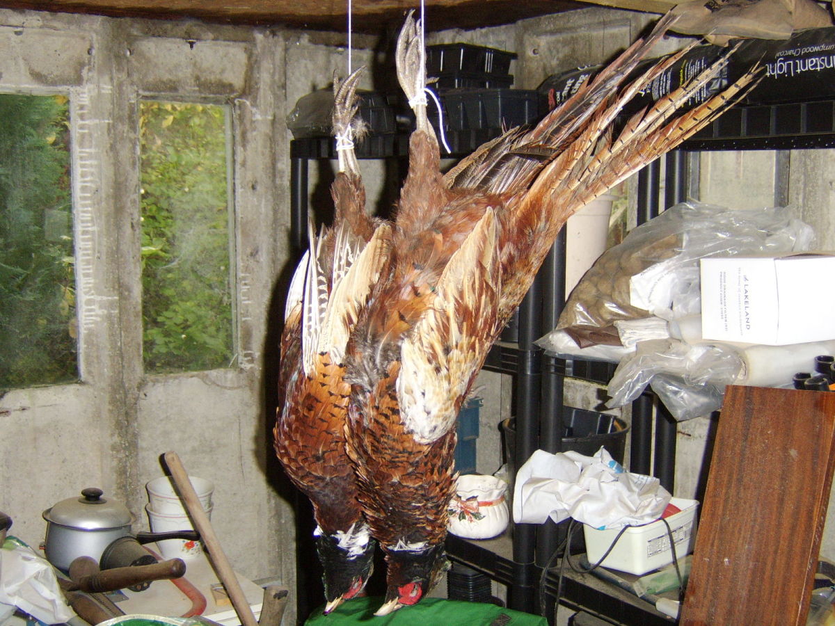 How to Cook Pheasants (With Four Recipes) - HubPages