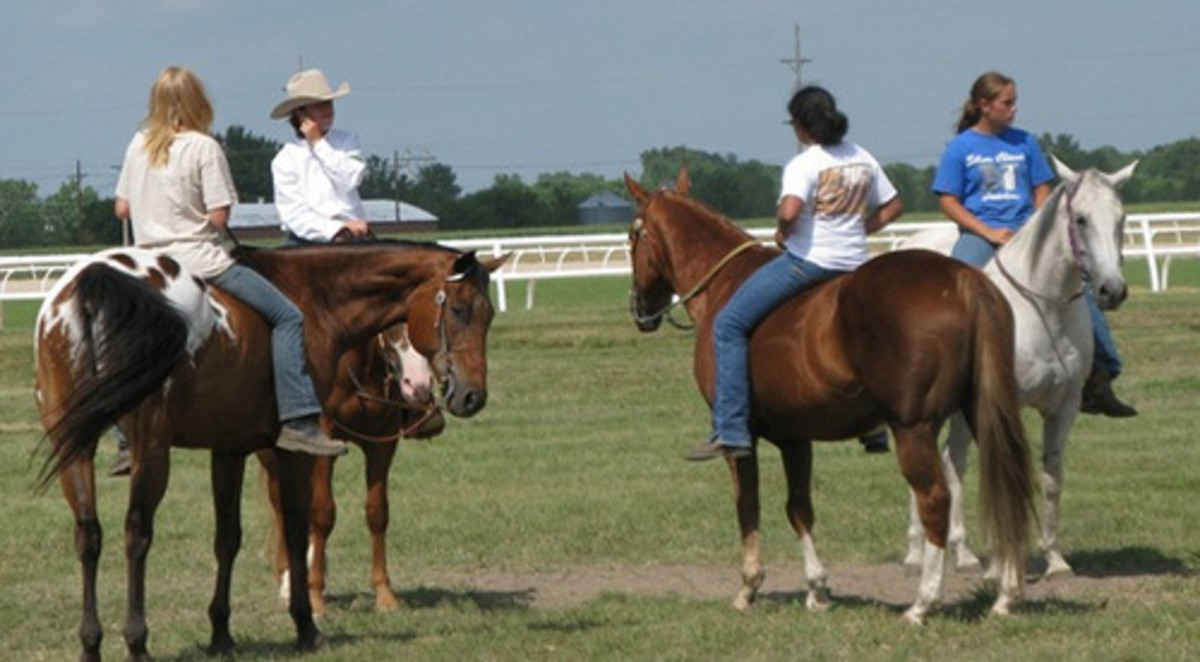 Why and How to Ride a Horse Bareback - HubPages