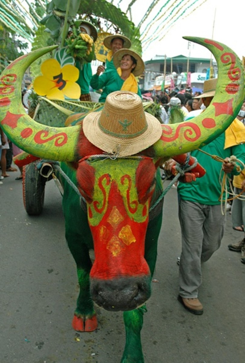 The Carabao: From the Beast of Burden in Fields to the Beauteous Beast ...