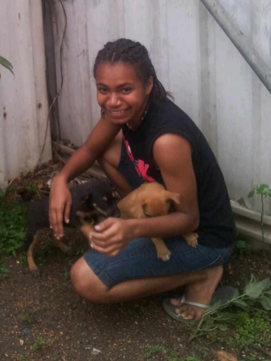 How to Develop Empathy in Children through Human-Animal Relationship ...