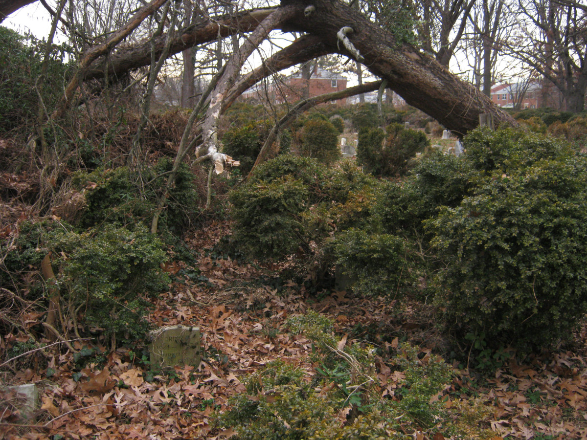 Pet Cemetery - A Real Life Tale of a Neglected Animal Graveyard - HubPages