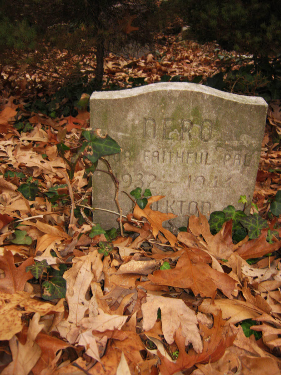Pet Cemetery - A Real Life Tale of a Neglected Animal Graveyard - HubPages