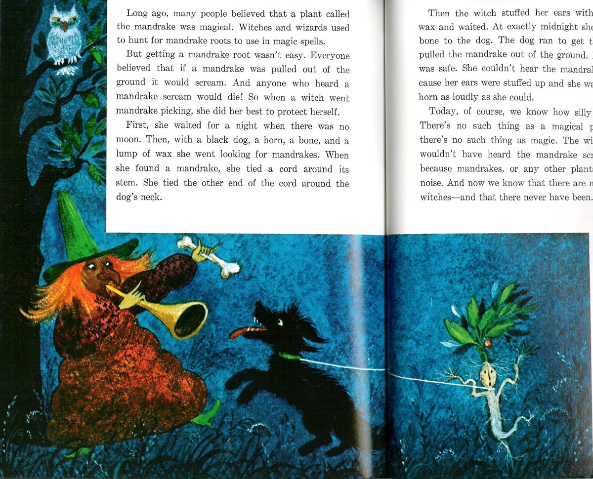 Mandrake - The Plant that Screams - HubPages