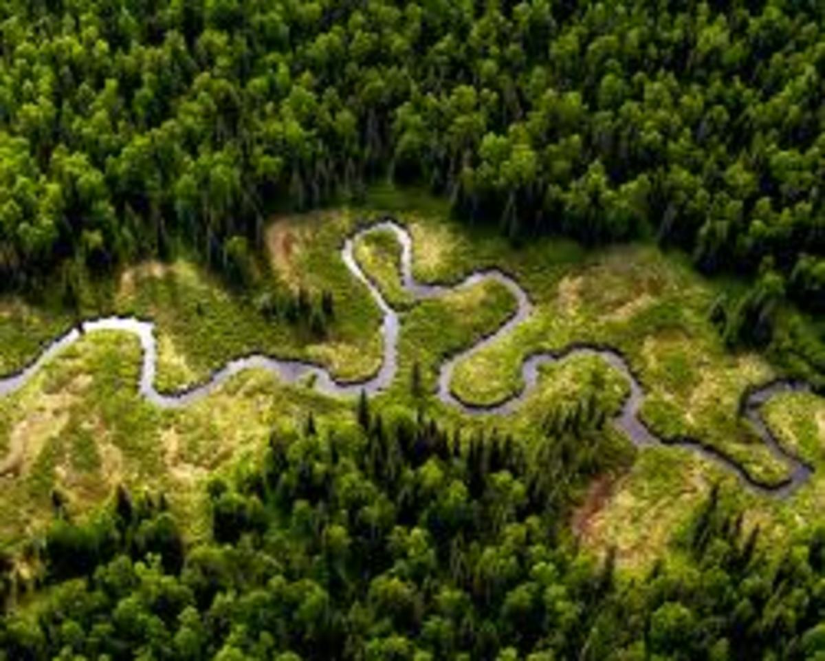 Water Dream Meanings-Dreams About Water-Water Dream Interpretations ...