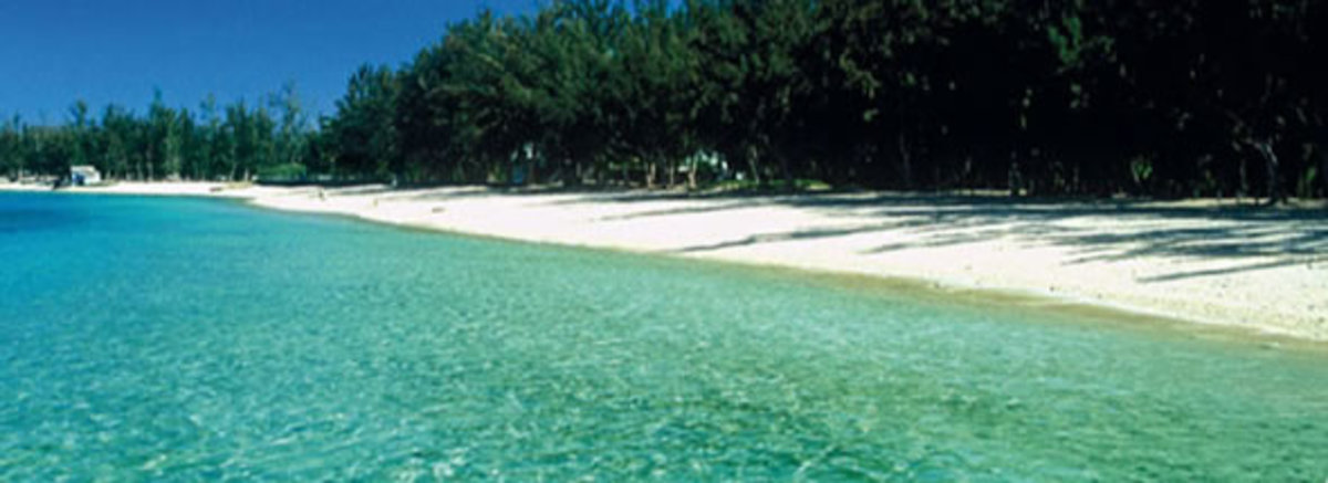 Shark Attacks at Reunion Island, Indian Ocean - HubPages