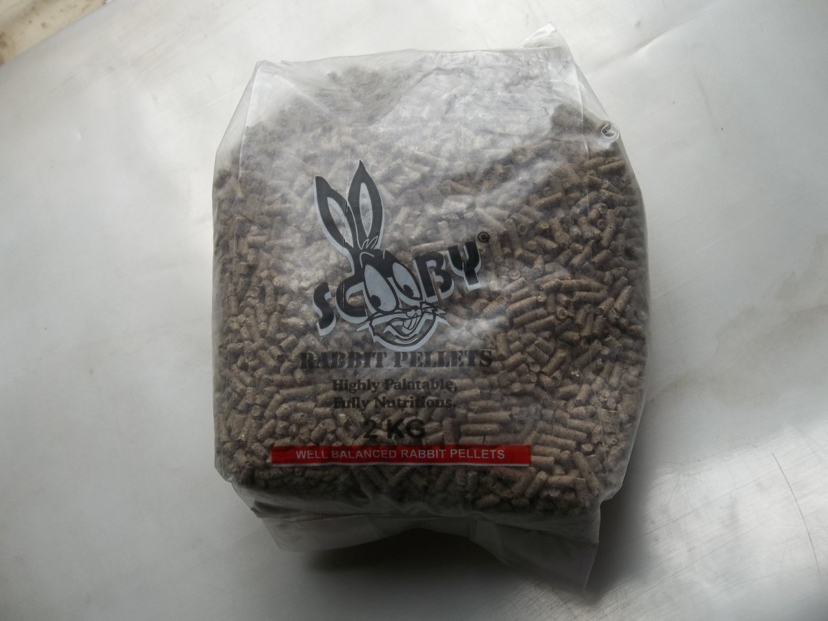 Rabbits: Keeping Them Healthy on Pellets and Other Foods - HubPages