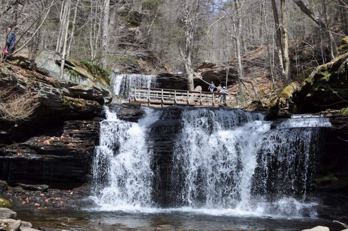 Ricketts Glen State Park: 22 Gorgeous Waterfalls in Northeast ...