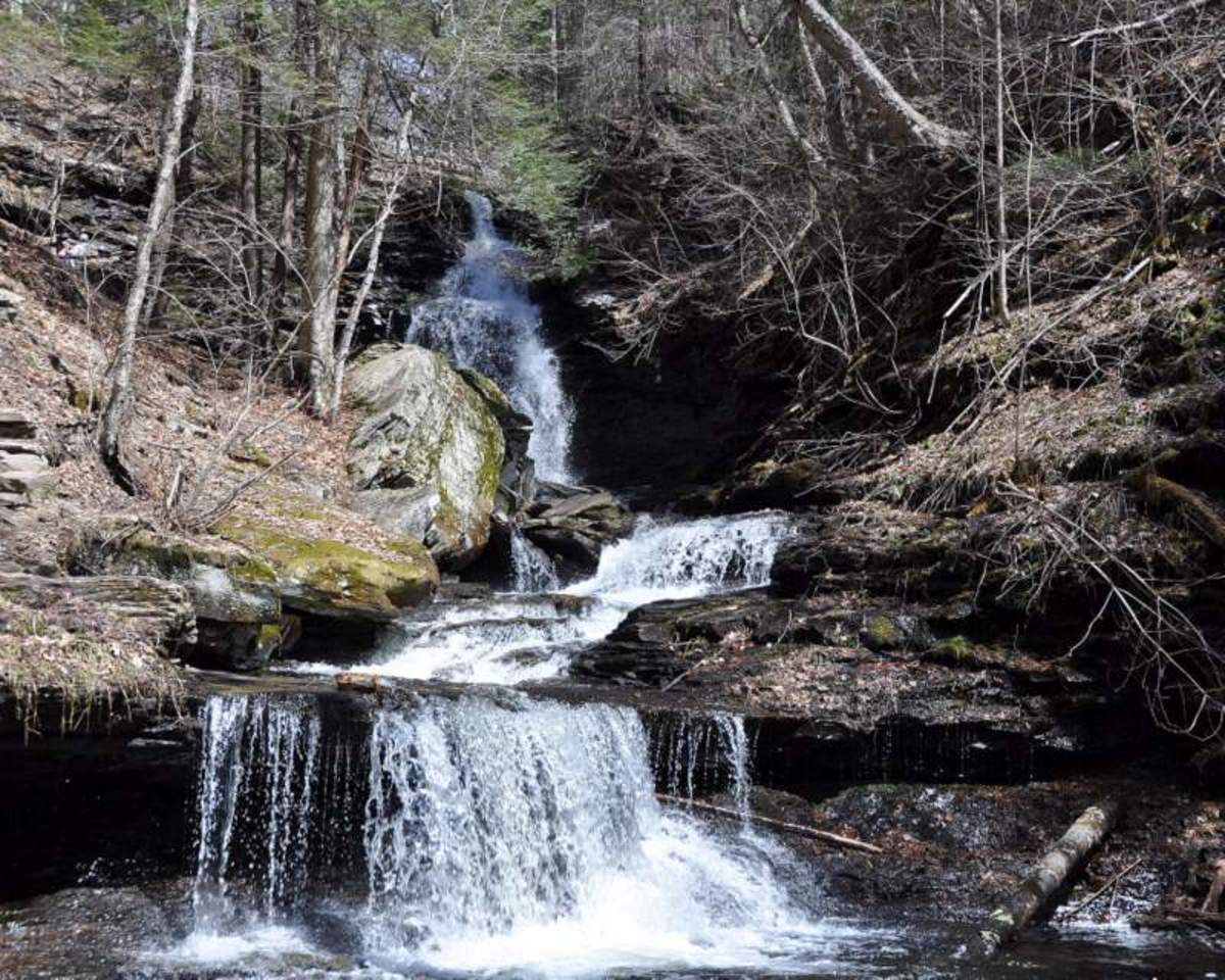 Ricketts Glen State Park: 22 Gorgeous Waterfalls in Northeast ...
