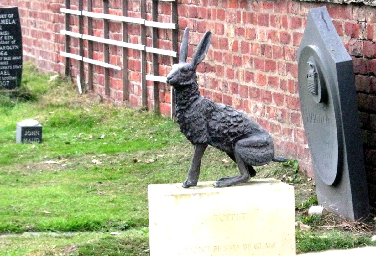 Skipwith Village and Skipwith Common North Yorkshire UK - HubPages