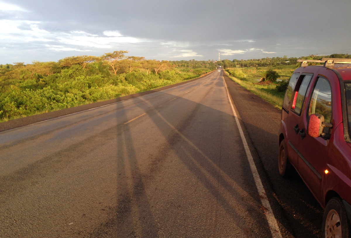 10 Interesting Facts to Expect When You Take a Safari to Uganda, The ...