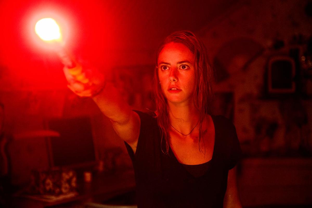 Crawl (2019) Movie Review - HubPages