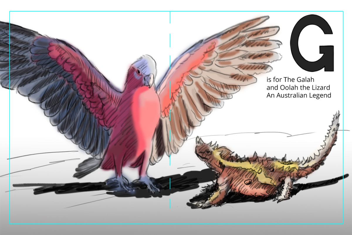 The Galah and Oolah the Lizard, an Australian Folktale - HubPages