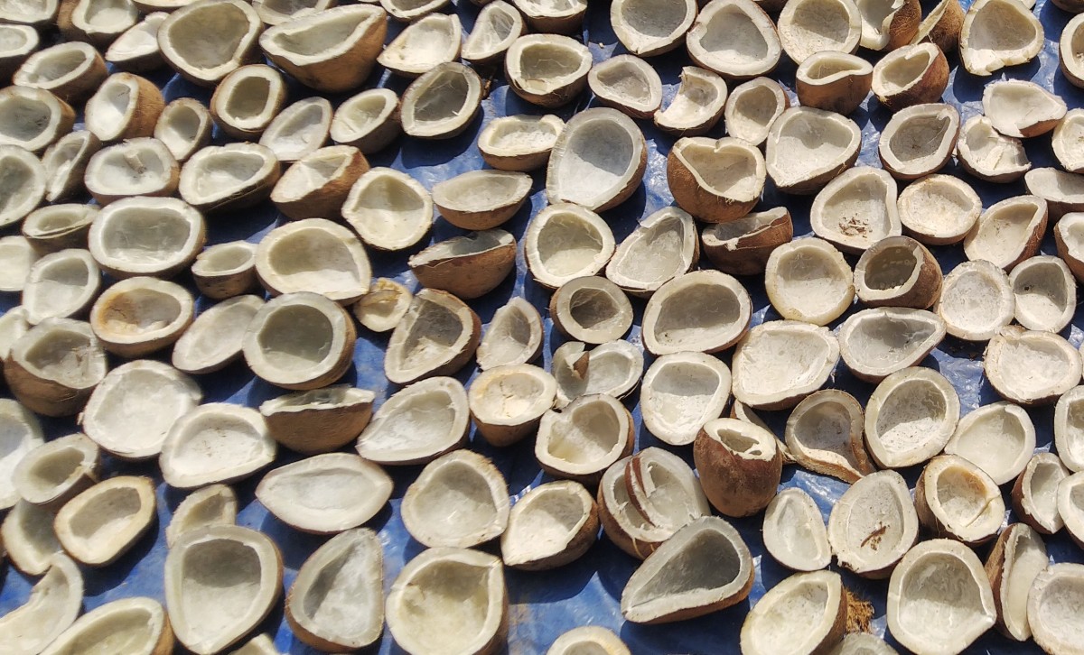 Coconut Oil - The Best Choice for Cooking Purposes - HubPages