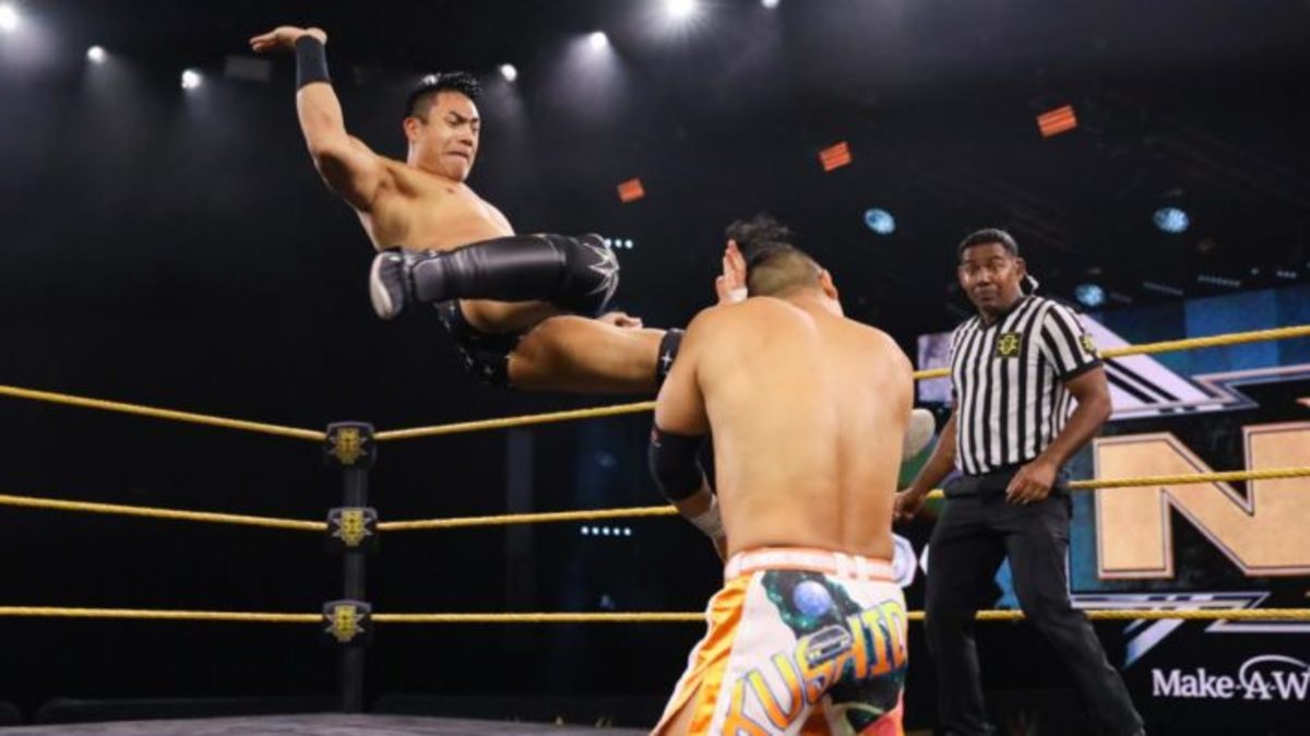 NXT Continues to Showcase the Future: Part 2 - HubPages