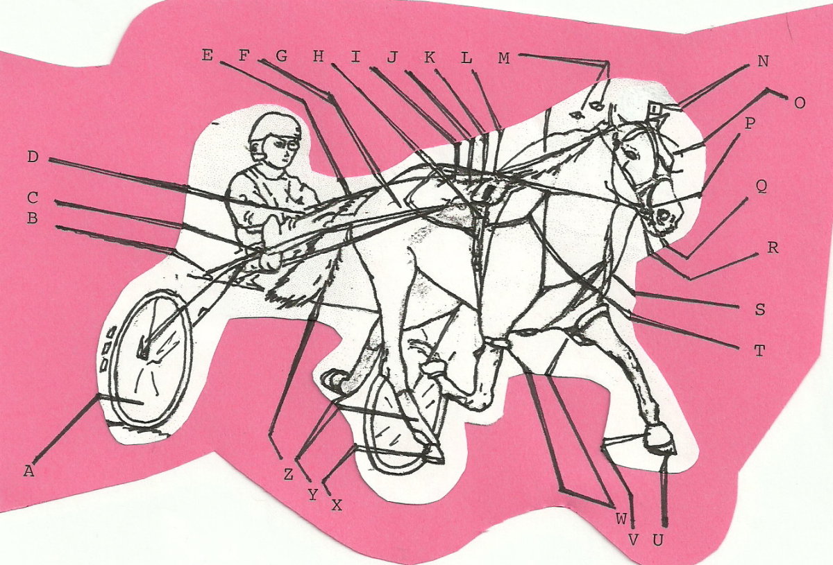 Equipment of the Standardbred Harness Racing Horse - HubPages