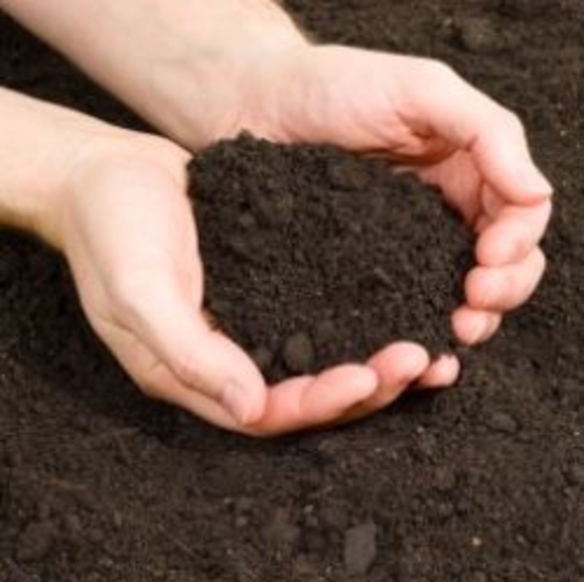 How to Sterlize Potting Soil - Dengarden
