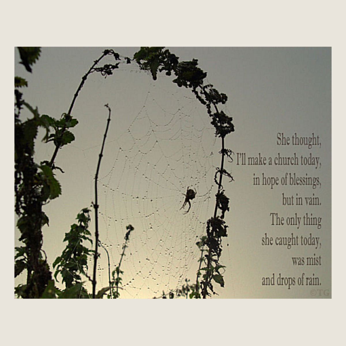 How About I Make You Love Interesting Spider Webs - HubPages