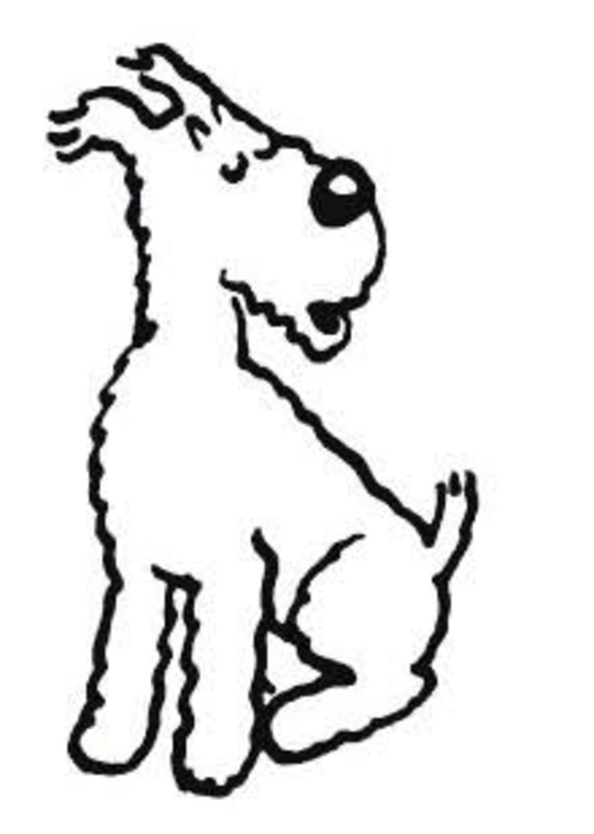 The Tintin Character Guide - HubPages