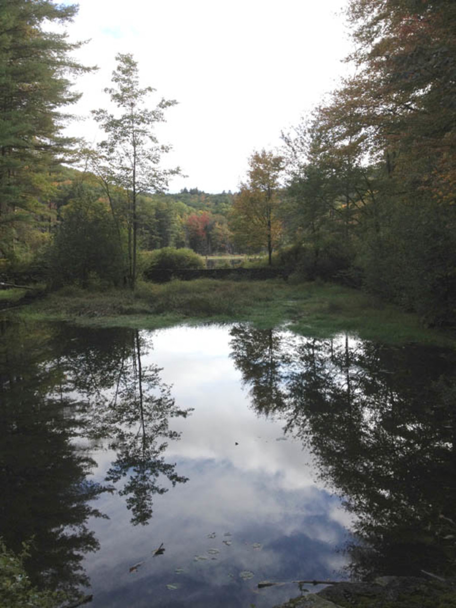 Madame Sherri Forest Ft. The “Stairway to Heaven” - HubPages