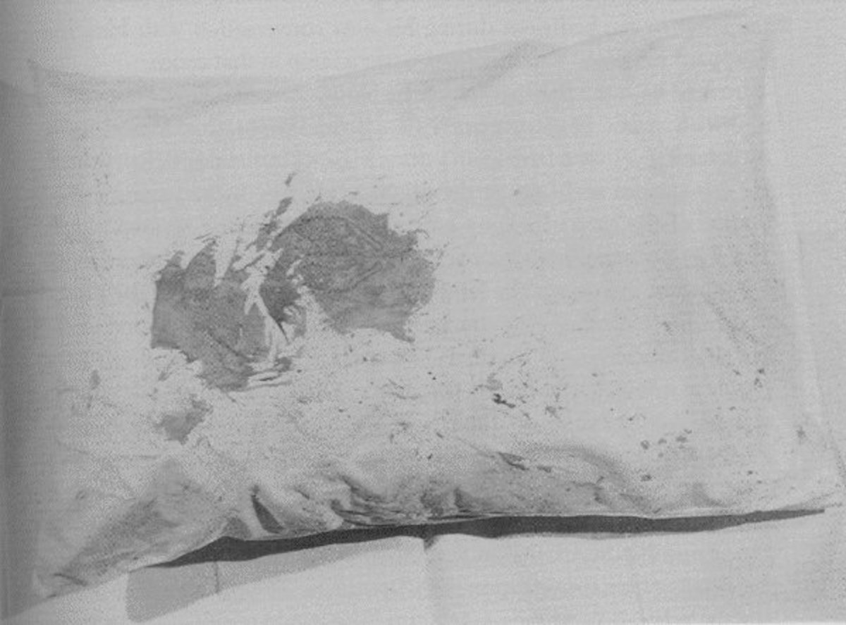 The Dr. Sam Sheppard Murder Case: Forensics & Conviction - HubPages