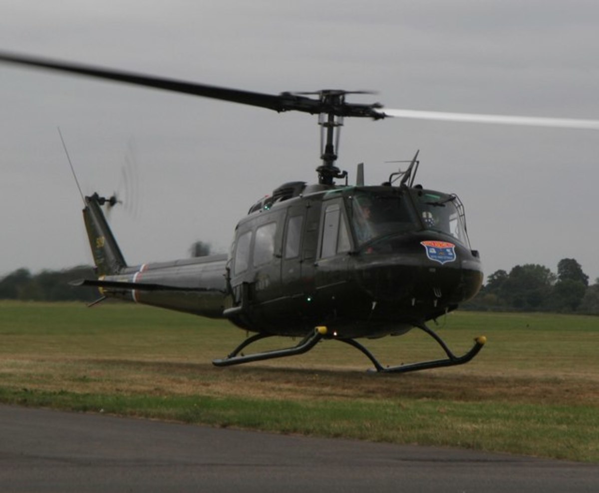 What Is A Chicken Hawk - HubPages