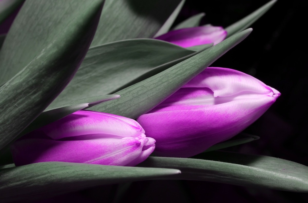 What To Buy Your Mom For Her Birthday HubPages