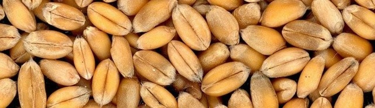 The Complete Dry Canning Food Storage Guide - HubPages