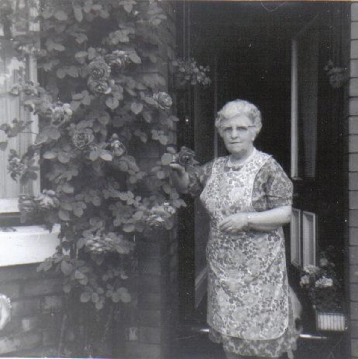 Four Branches of a Family Tree - HubPages