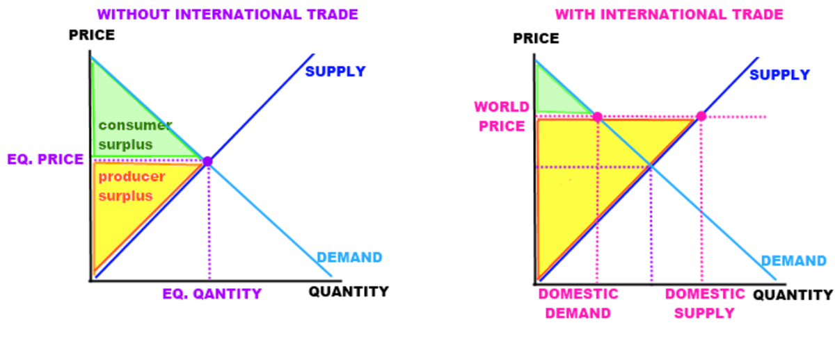Microeconomics Review: Imports & Exports - HubPages