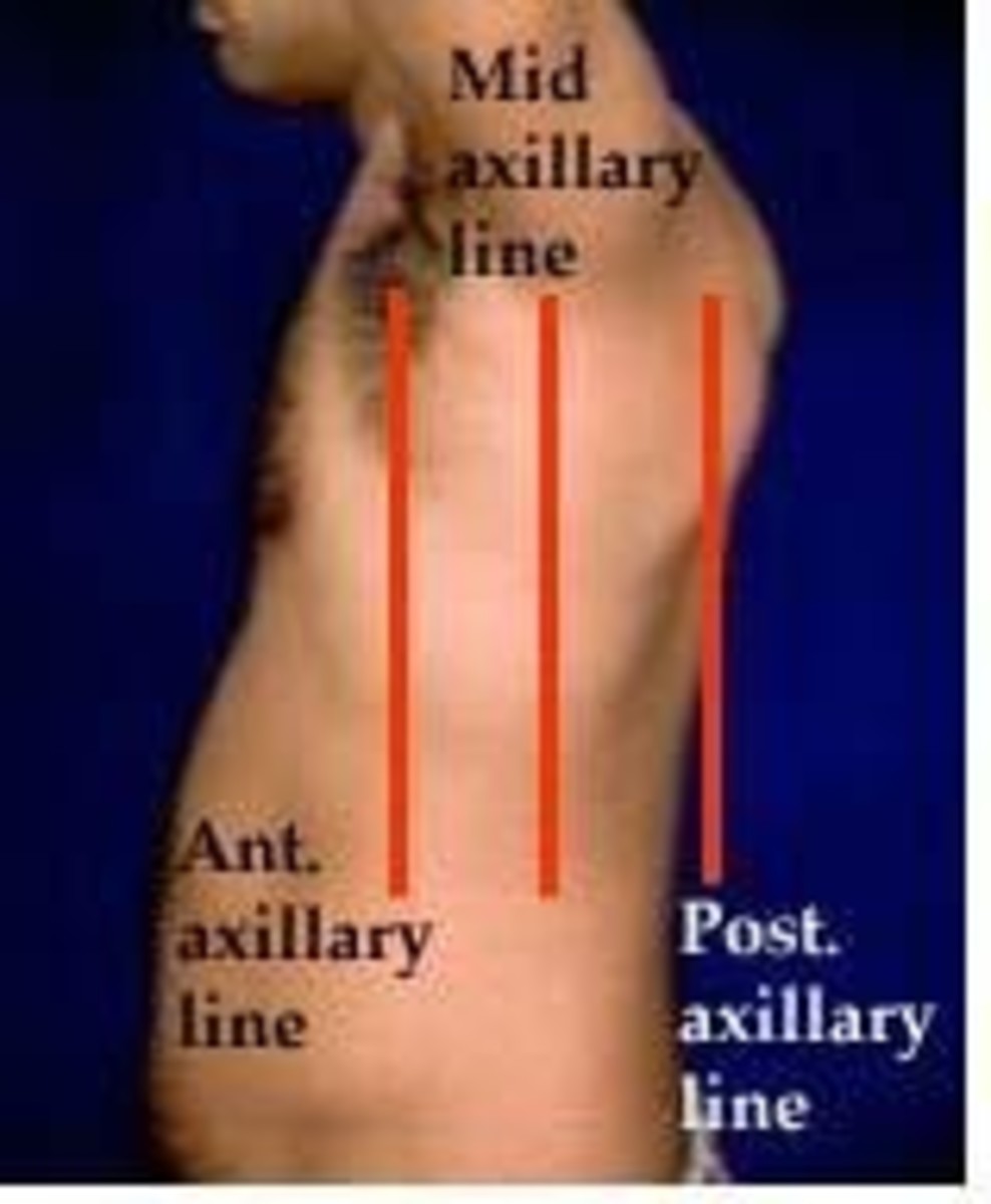 A-Z of Medical Terminology 2 - Finding your way - HubPages