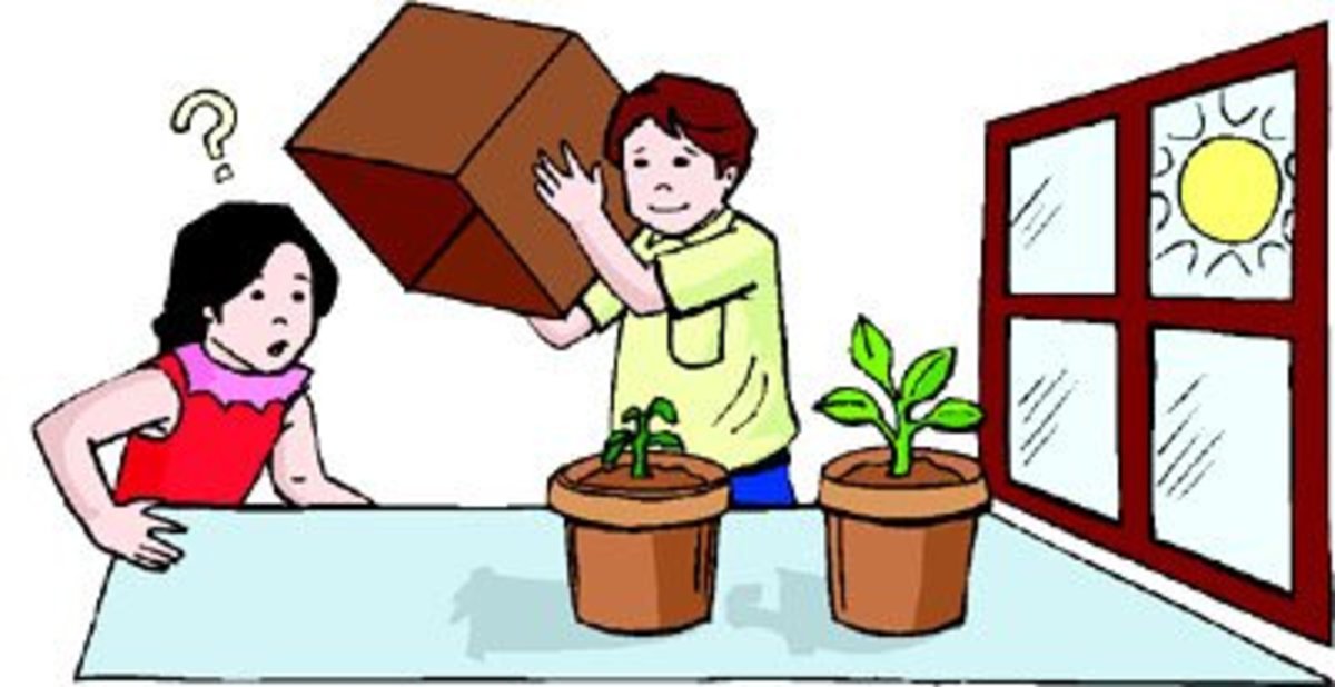 Teaching Plant Biology to Kids III - HubPages