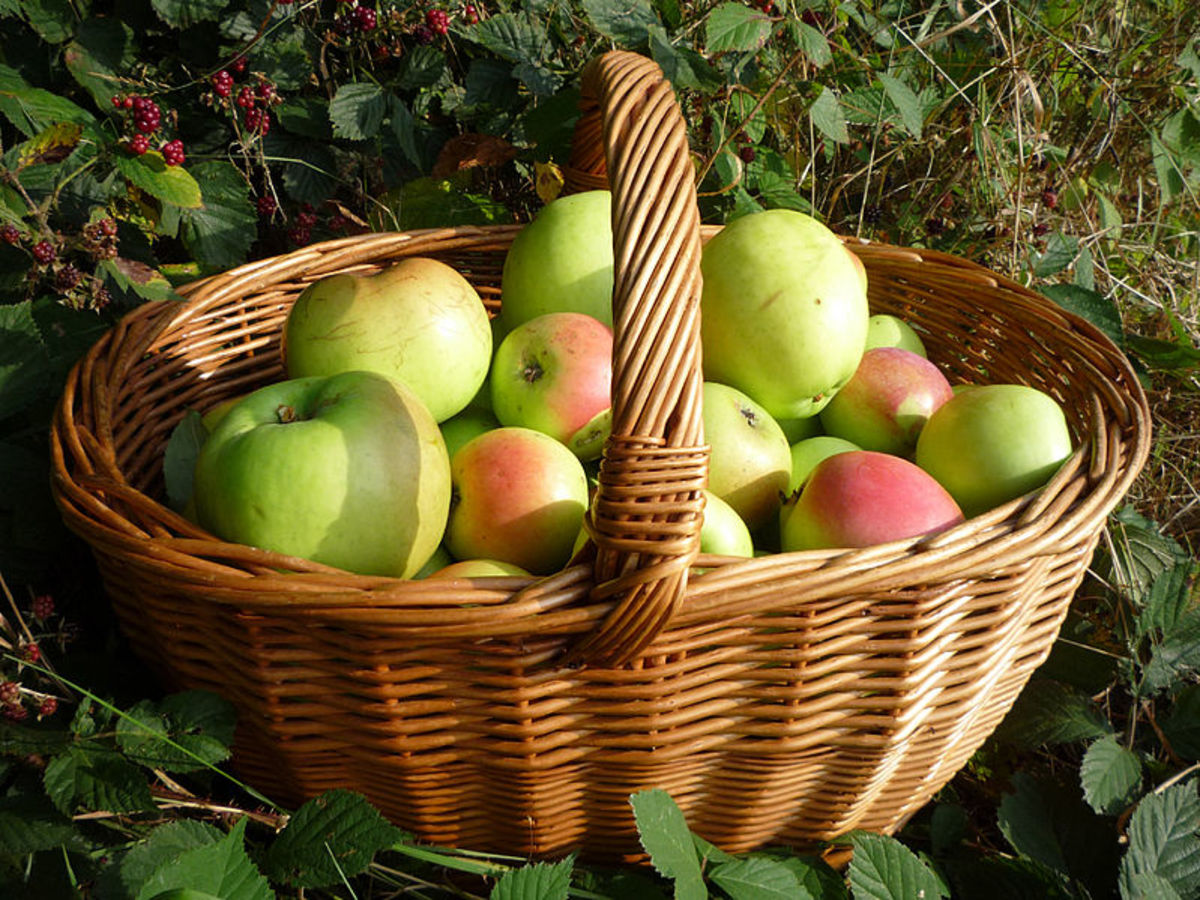 20 Apple Recipes--What to Do With So Many Apples? - HubPages