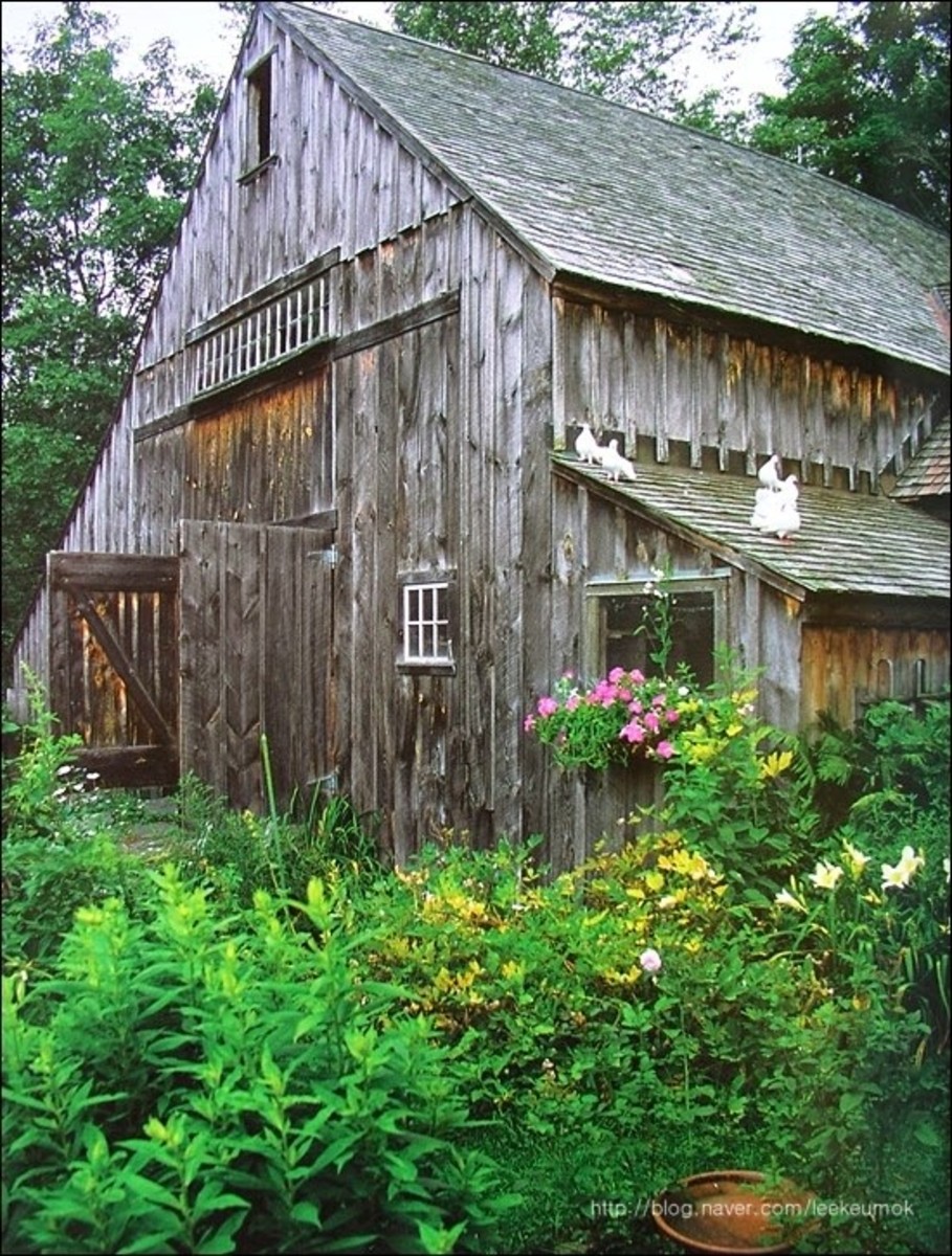 Meet Tasha Tudor—20th Century Artist Living 100 Years in the Past ...