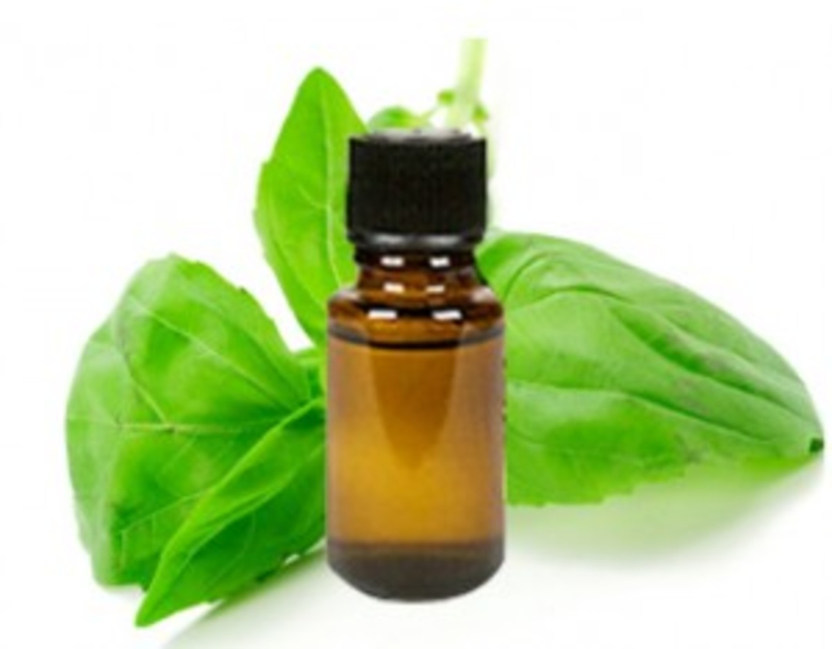 My Favorite Essential Oils For Fatigue - HubPages