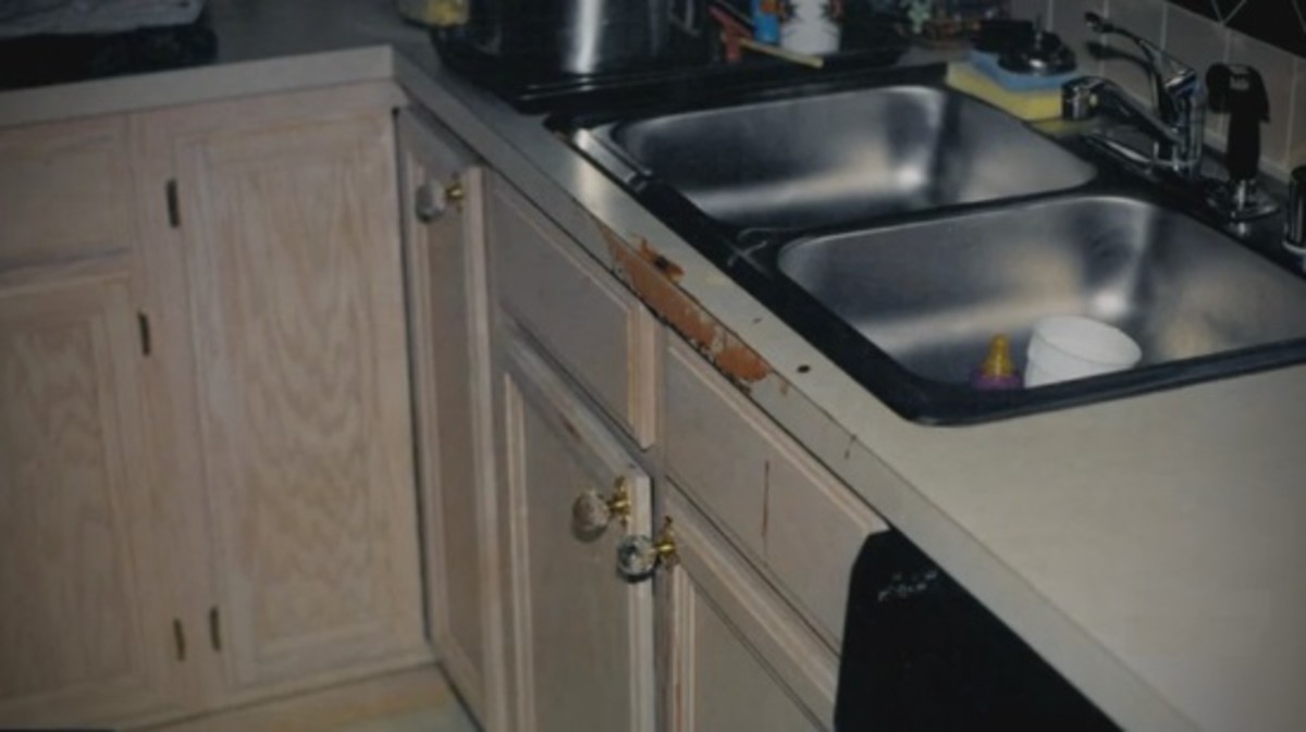 The Disputed Conviction of Darlie Lynn Routier - HubPages