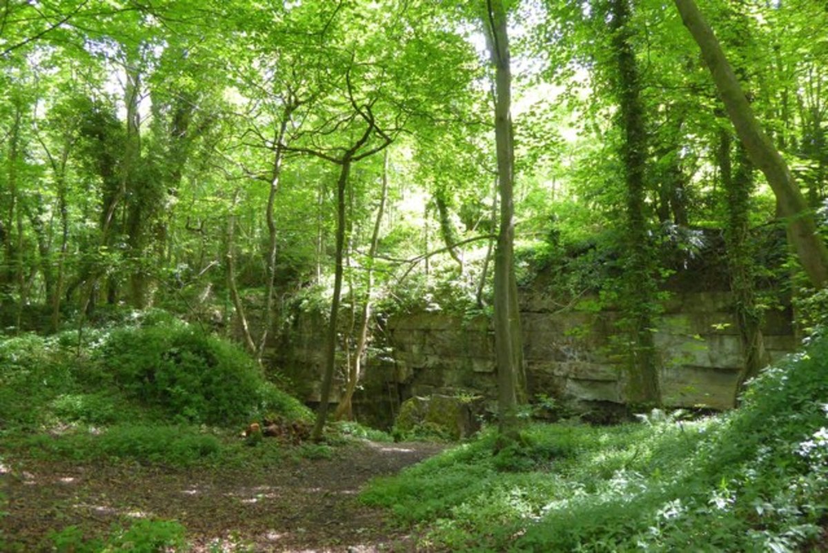 Travel North - 51: Pickering Round Trip, a Look Back Into the Town's ...