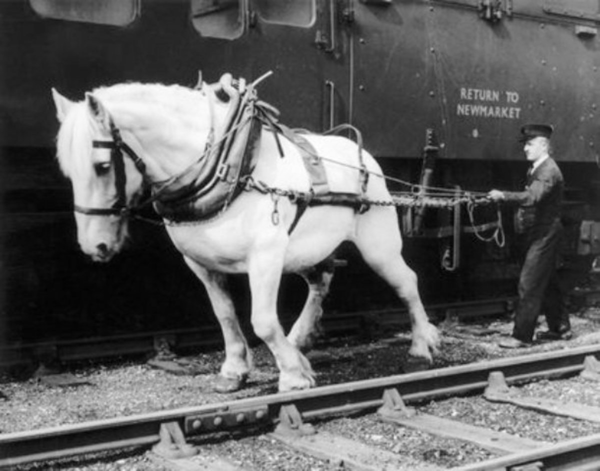 Rites of Passage for a Model Railway - 30: Non Locomotive Operations [2 ...