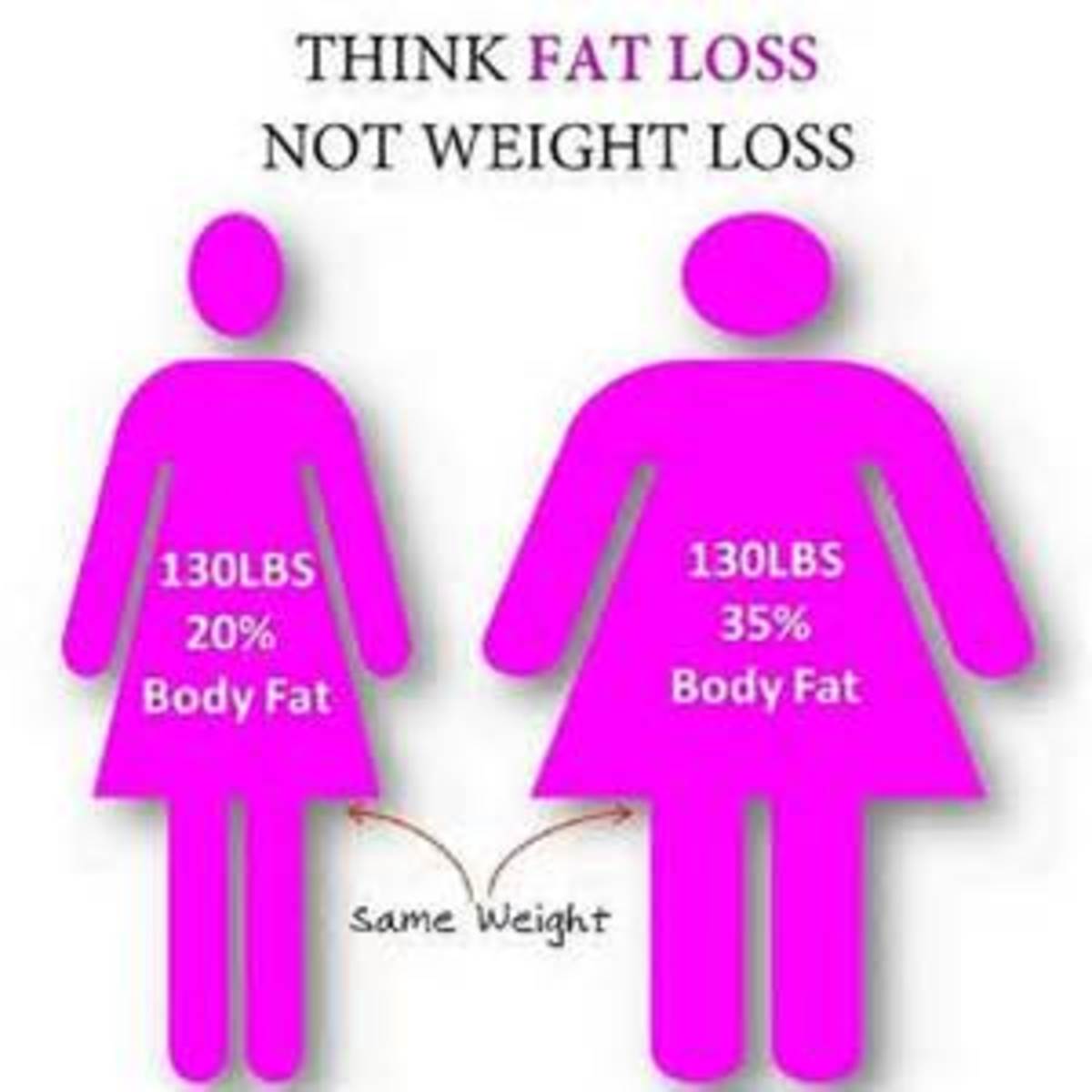 The Skinny on Body Fat Percentage - HubPages