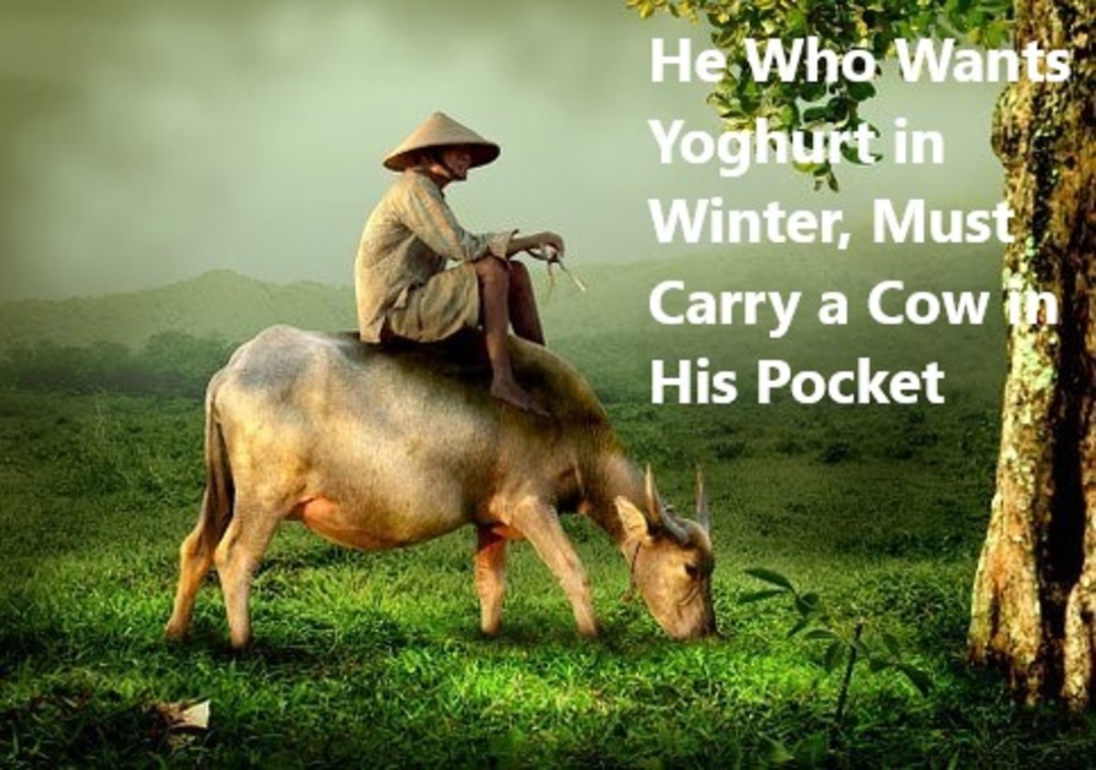 Common Winter Season Idioms, Adages, Quotes, Sayings and Proverbs ...