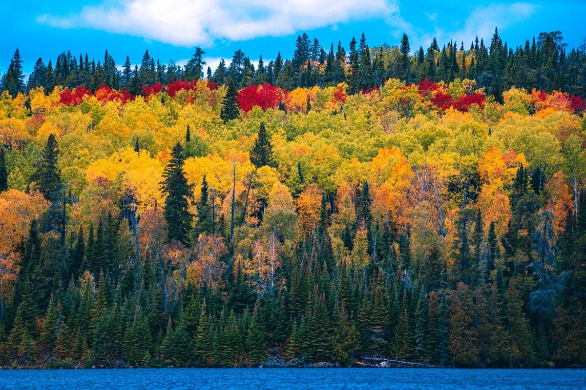 Autumn Colors Spreading Across America - LetterPile