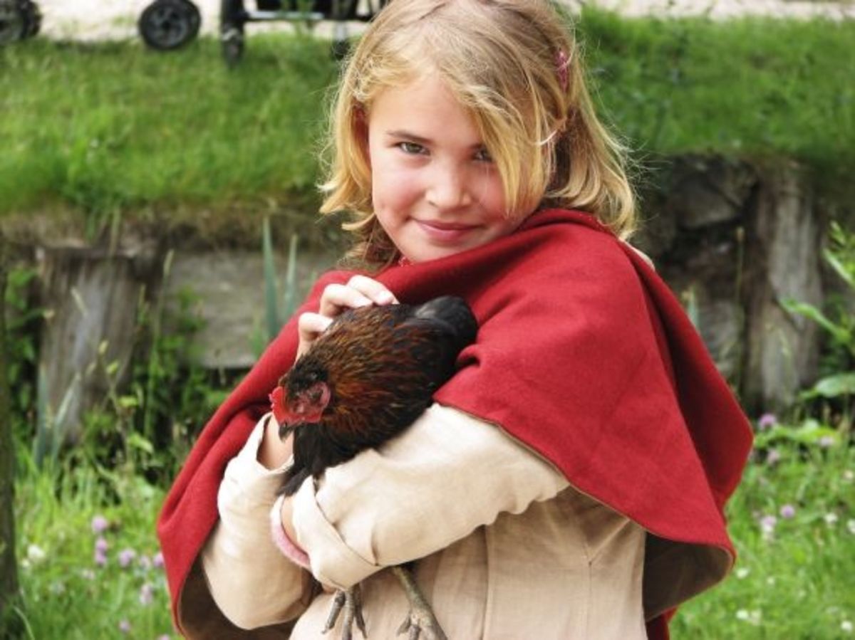 Chickens as House Pets - HubPages