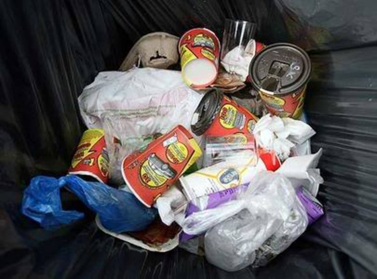 Should We Ban Paper Coffee Cups? - HubPages