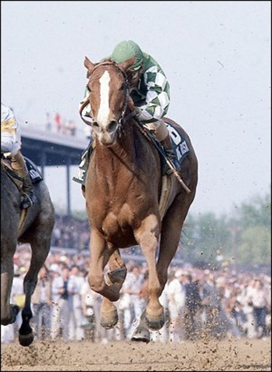 Famous Race Mares in History - HubPages