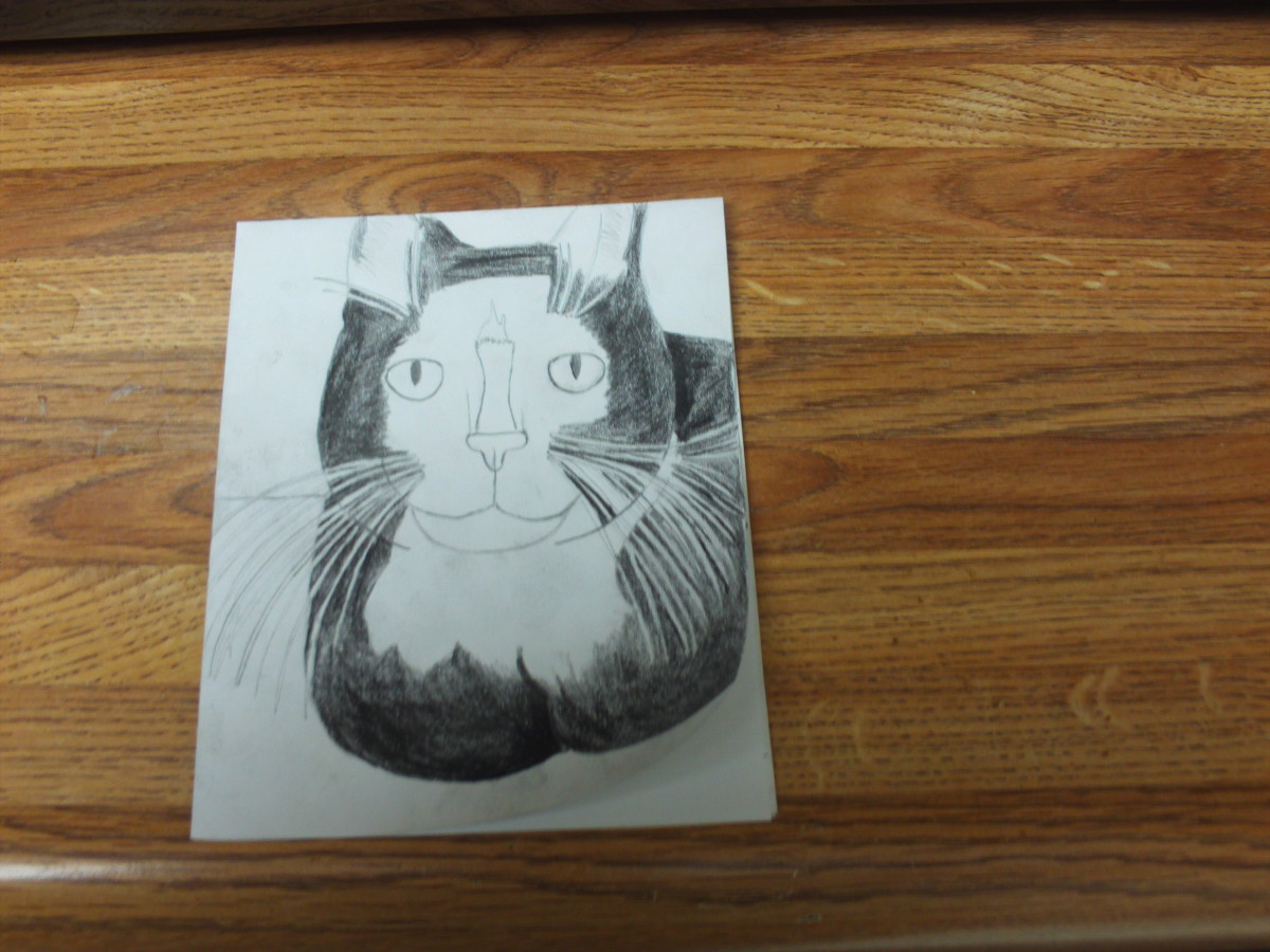 How To Make A Homemade Cat Card - HubPages